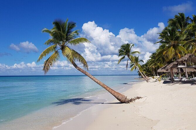 Saona Island, memorable all-inclusive experience, from Santo Domingo. - Authentic Experiences and Practical Insights