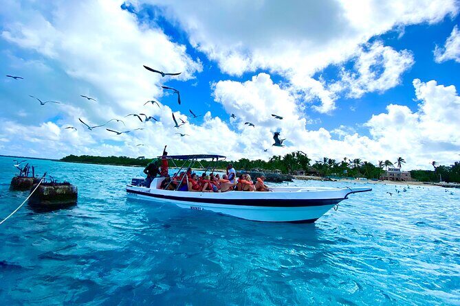 Saona Island, Natural pool Starfish, Fast boat, Catamaran +Dances - Time on Saona Island