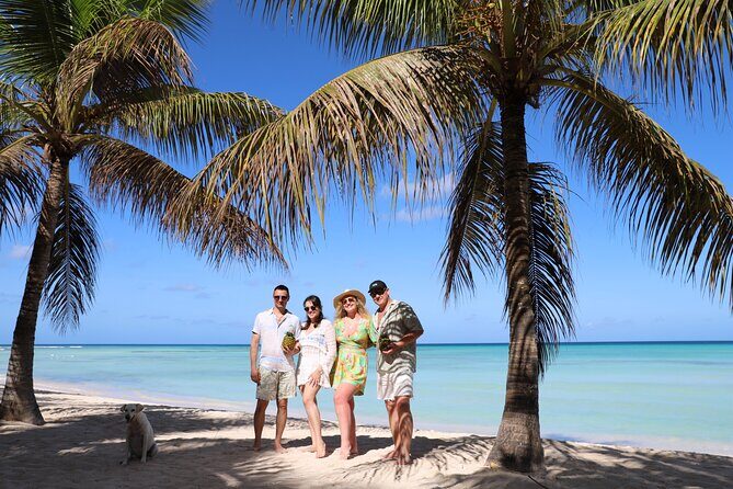 Saona Island One Day in Paradise Small Group - What Travelers Are Saying