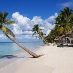 Saona Island Package with Roundtrip Transportation from Airport and Hotels - Who Is This Tour Best Suited For?
