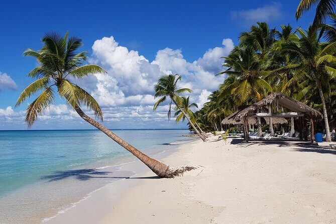 Saona Island Package with Roundtrip Transportation from Airport and Hotels - Who Is This Tour Best Suited For?