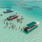 Saona Island Private: +10 People Catamarán - A Detailed Look at What You Can Expect