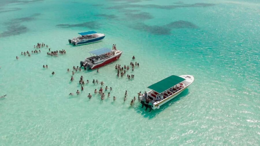 Saona Island Private: +10 People Catamarán - A Detailed Look at What You Can Expect