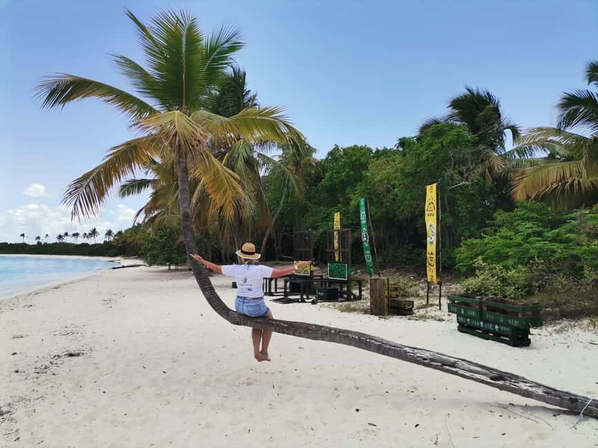 Saona Island Private Beach Club with Lunch - Arrival at the Private Beach Club