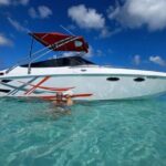 Saona island - Private Tour with a Luxury Speed Boat - Value and Cost: Is it Worth It?
