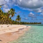 Saona Island: Punta Cana All-Inclusive - What Do Travelers Say?