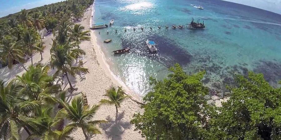 Saona Island: Relaxation Day Trip with Open Bar - What You Can Expect on the Tour