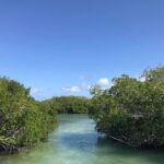 SAONA ISLAND - Rhythm, Rum & Radiant Beaches - PUNTA CANA - Real Traveler Insights: What the Reviews Say