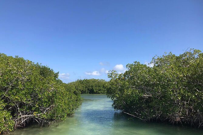 SAONA ISLAND - Rhythm, Rum & Radiant Beaches - PUNTA CANA - Real Traveler Insights: What the Reviews Say