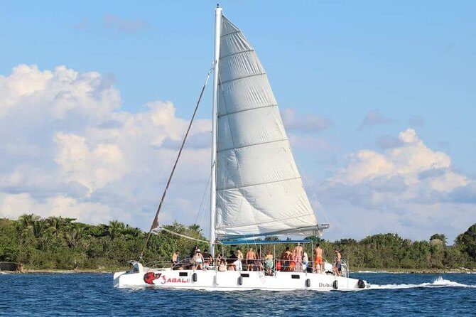 Saona Island Sailing Tour - All Inclusive - The Stops and Highlights