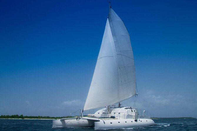 Saona Island small group and relax - luxury catamaran - What to Expect: A Step-by-Step Breakdown