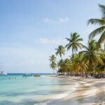 Saona Island Small Group Full Day Tour Whit Lunch and Drinks - What’s Noteworthy