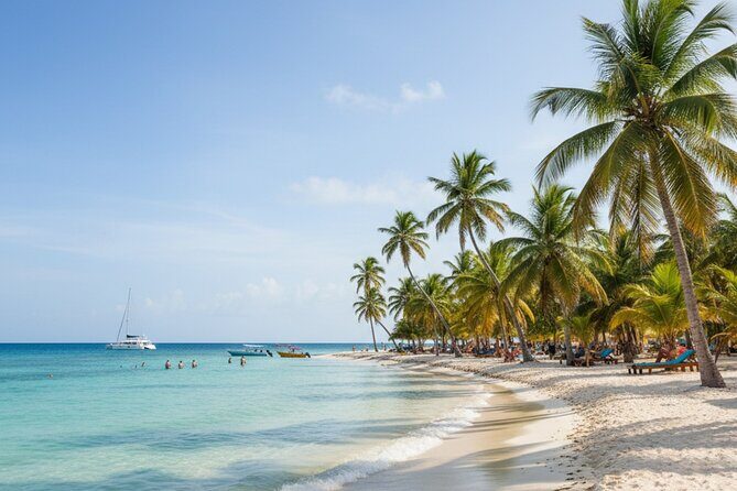 Saona Island Small Group Full Day Tour Whit Lunch and Drinks - What’s Noteworthy