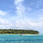 Saona Island Tour All Inclusive Speedboat and Catamaran - Highlights and Attractions