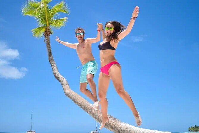 Saona Island Tour from Punta Cana with Lunch, Open Bar & Pickup - Deep Dive into the Experience