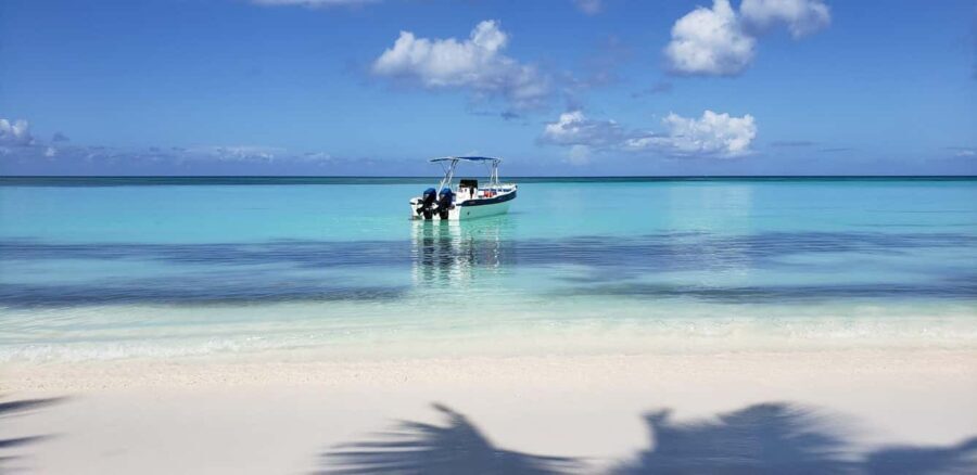 Saona Island Tour from Santo Domingo with Lunch - What Travelers Can Expect