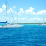 Saona Island: Tour with Lunch and Drinks - A Complete Look at the Saona Island Tour