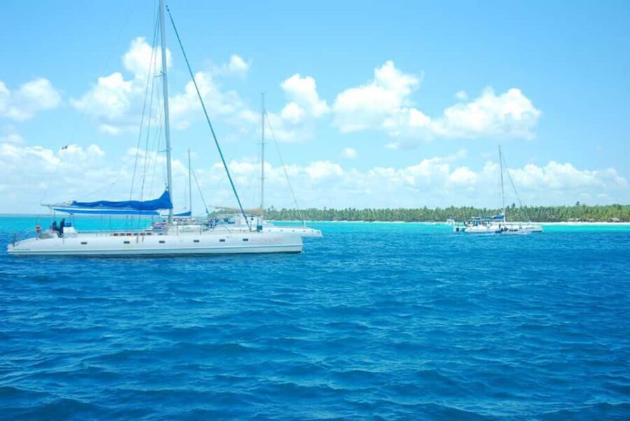 Saona Island: Tour with Lunch and Drinks - A Complete Look at the Saona Island Tour