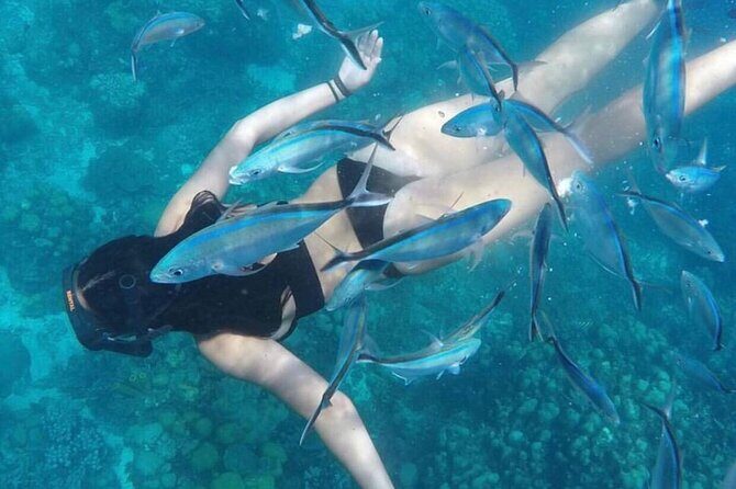 Saona Island Tour - Practical Tips for Participants