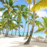 Saona Island VIP Experience  Private Boat for Up to 20 People - What Do the Reviews Say?
