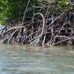 Saona, Mano Juan, Canto de la playa away from the tourist crowds - Exploring the Itinerary in Detail