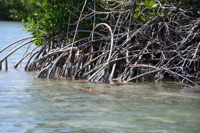 Saona, Mano Juan, Canto de la playa away from the tourist crowds - Exploring the Itinerary in Detail
