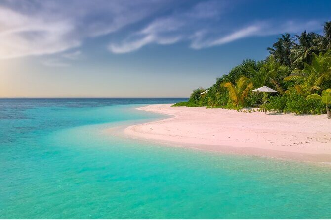 Saona Paradise Island : Catamaran, Natural Pool and Typical Lunch - Pricing and Value