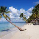 Saona Party Boat and Natural Pool from Cap Cana with Lobster - Who Would Love This Tour?