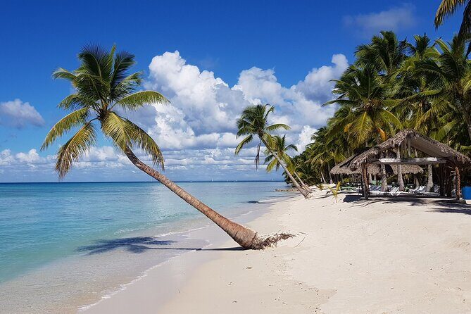 Saona Party Boat and Natural Pool from Cap Cana with Lobster - Who Would Love This Tour?
