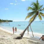 Saona Platinum Beach Day - The Itinerary: What’s Included and What to Expect