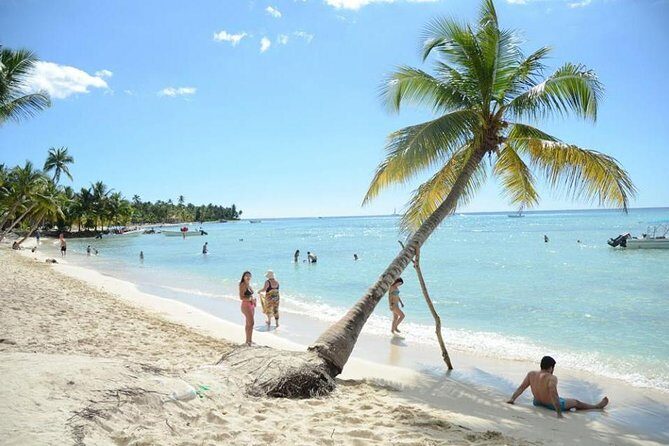 Saona Platinum Beach Day - The Itinerary: What’s Included and What to Expect