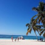 Saona Relax Tour - The Beach and Gourmet Lunch at Playatao