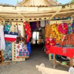 Saona VIP 3 Beaches, Natural Pool & Mano Juan Turtle Sanctuary - The Itinerary: What to Expect