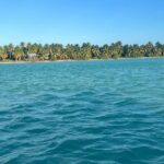 Saône Catamaran Island - speedboat, open bar and lunch - Why Travelers Love This Tour