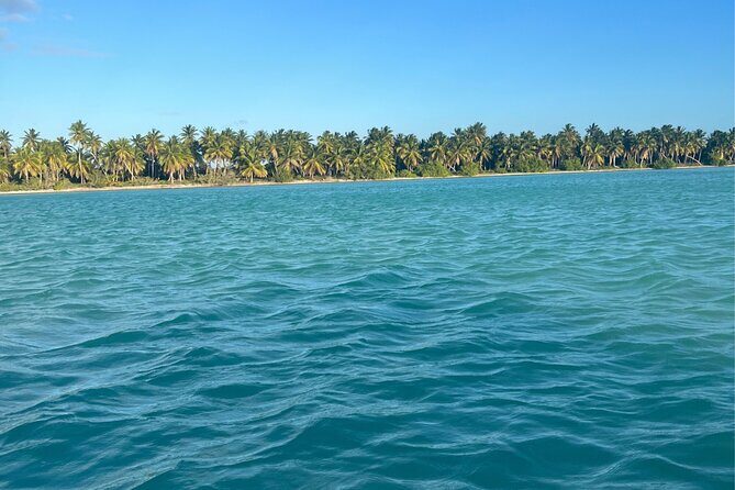 Saône Catamaran Island - speedboat, open bar and lunch - Why Travelers Love This Tour