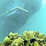 Saône Island with Semi Underwater and Snorkeling from Santo Domingo - The Overall Value