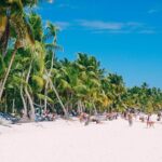 Scape 2 Saona Island - Highlights and Potential Drawbacks