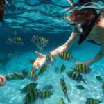 Scape Park Sunshine Cruise at Cap Cana - What to Expect on the Sunshine Cruise