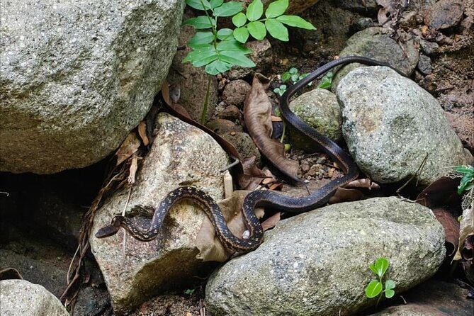 Scenic Hiking Trail Adventure of Montserrat - Final Thoughts