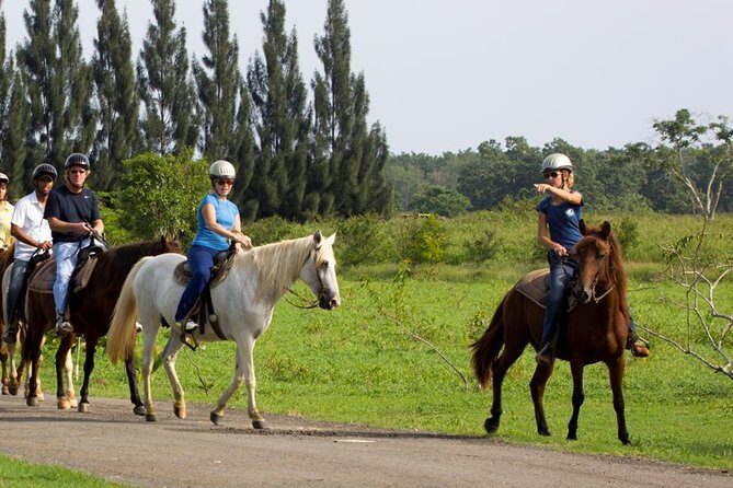 Scenic Horseback Riding Tour from San Juan - Practical Tips for Booking and Preparing