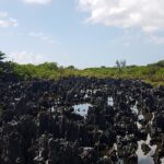 Scenic Island Private Tour - Practical Details and Considerations