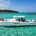 Scuba Dive and Snorkel Private Charter in Puerto Rico - The Coastal Reefs and Marine Life: A Visual Feast