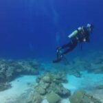 Scuba Diving and shopping on the Hipstrip. - Discovering the Montego Bay Underwater World