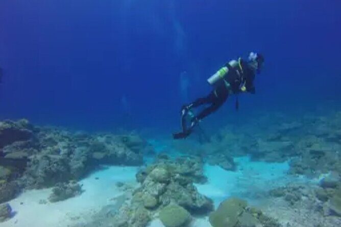 Scuba Diving and shopping on the Hipstrip. - Discovering the Montego Bay Underwater World
