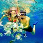 Scuba Diving at Catalina Island - 2 tank | 2 spots - Authentic Experiences and Common Criticisms