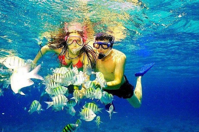 Scuba Diving at Catalina Island - 2 tank | 2 spots - Authentic Experiences and Common Criticisms