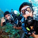 Scuba Diving on Catalina Island | 2 tanks, 2 spots - Exploring the Itinerary: What to Expect