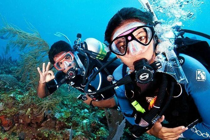 Scuba Diving on Catalina Island | 2 tanks, 2 spots - Exploring the Itinerary: What to Expect