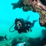 Scuba Tour for Certified Divers in San Juan - A Closer Look at the Itinerary