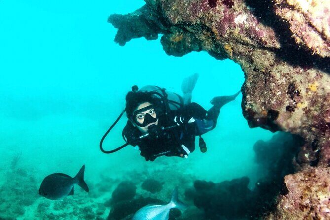Scuba Tour for Certified Divers in San Juan - A Closer Look at the Itinerary